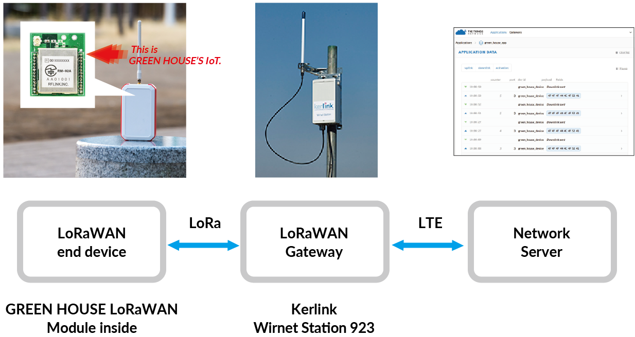 LoRaWAN NETWORK | GREENHOUSE